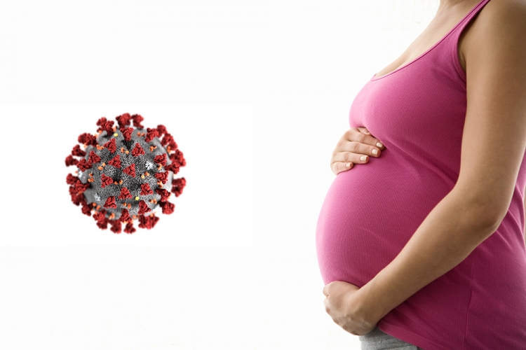 Covid-19 fertility and pregnancy – What we know so far - Newlife IVF